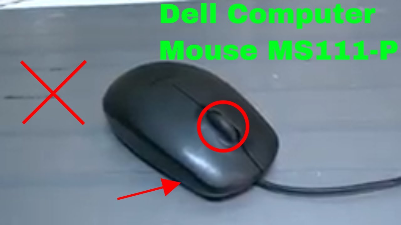 How To Use Dell Computer Mouse MS111-P Review - YouTube
