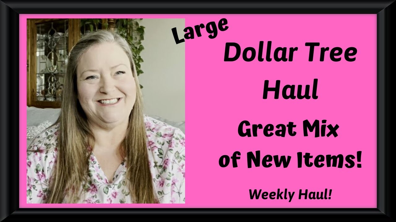 Large Dollar Tree Haul ~ Great Mix of New Items From Throughout the ...
