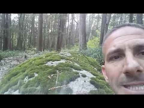 Mysterious man stalks me in the woods of Dudley Town CT