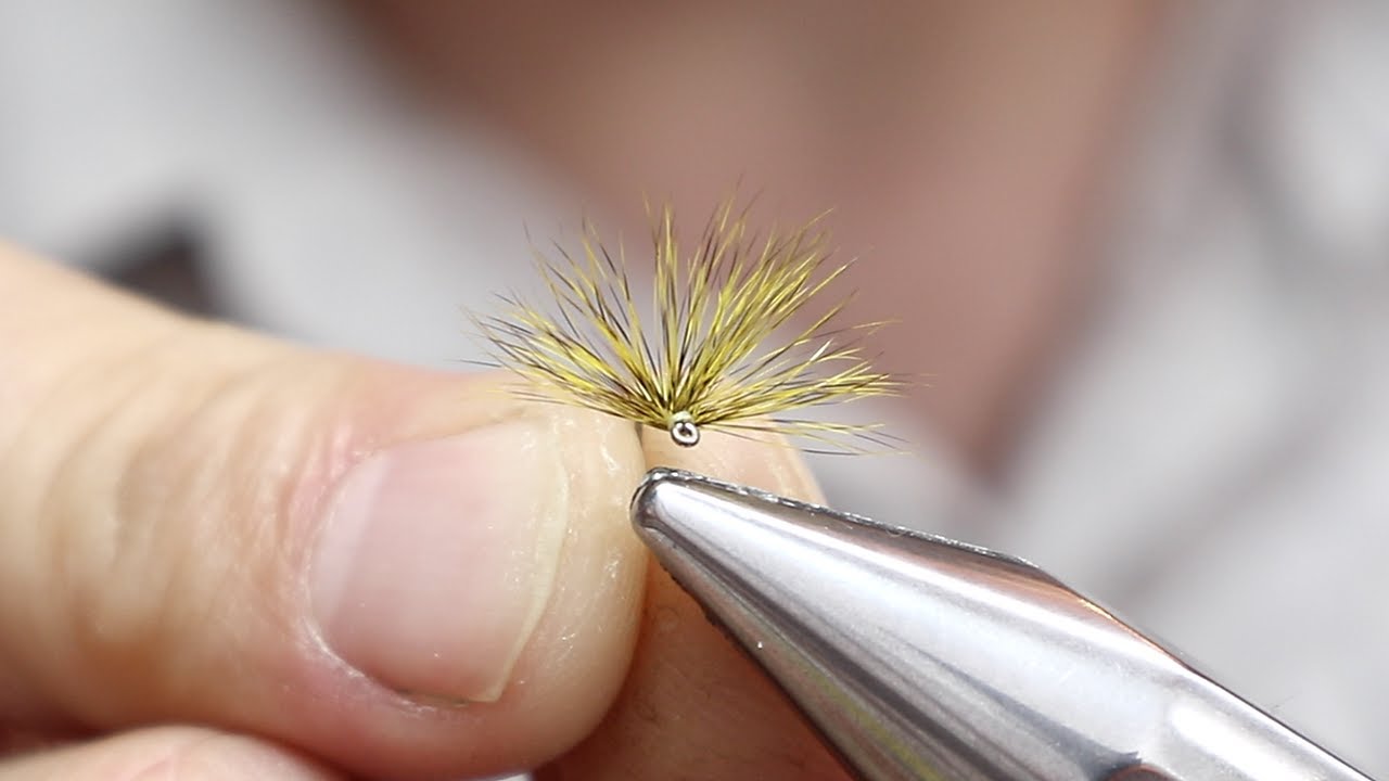 Roman Hackle Sulphur Fly Tying Tutorial - Comparadun Style - Dry Fly ...