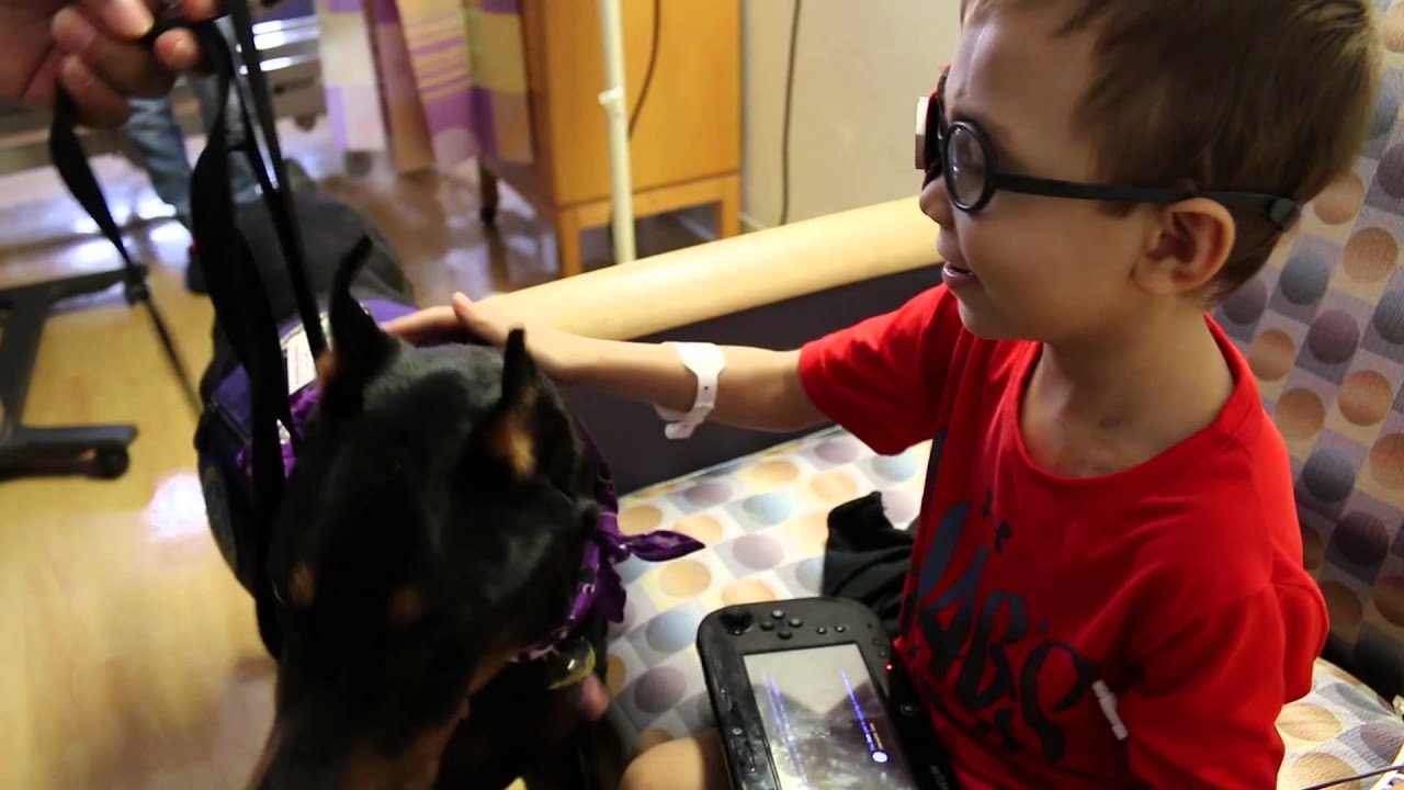 Pediatric Cancer Awareness Month - Nicholas Taylor | Holtz Children's ...