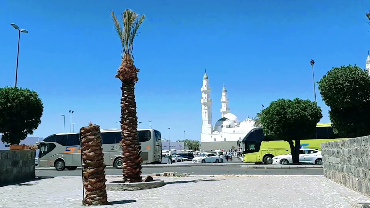 Dates Garden in Madinah near Quba Mosque | khajur ka bagh Madinah Al ...