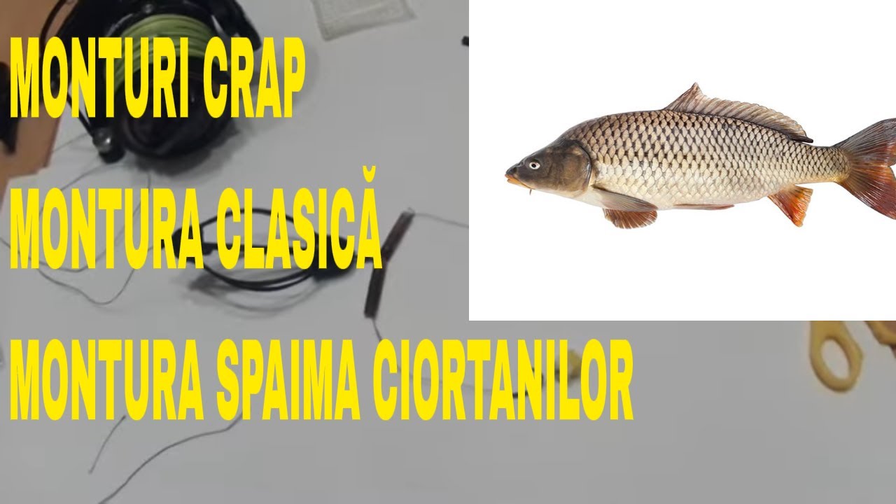Două monturi de primavara pentru crap si ciortan Montura clasica si ...