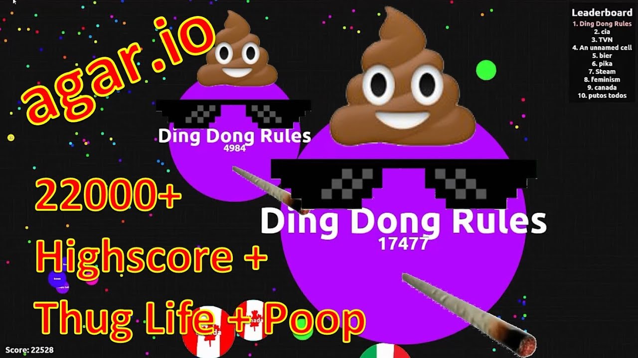 Agar.io - World Record 22000+ Highscore + Thug Life + Poop - YouTube