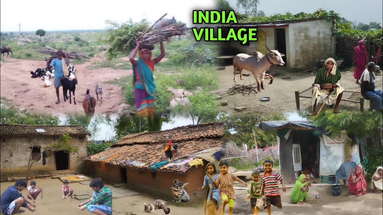 village tour of india | beautiful village life | village india ...