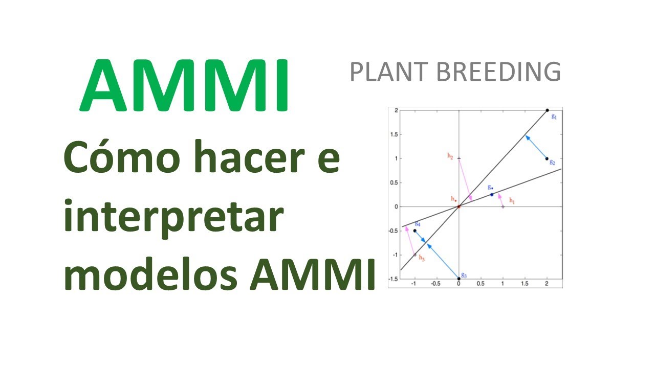 Como hacer e interpretar modelos AMMI - YouTube