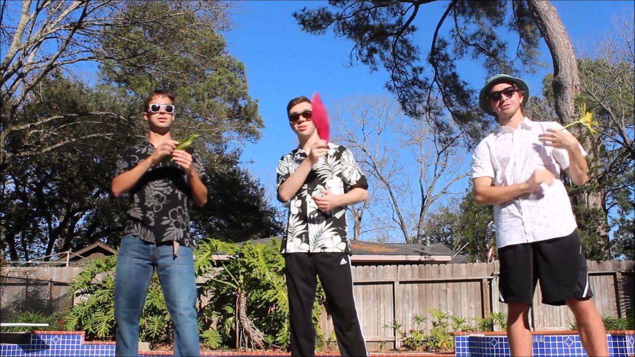 Photosynthesis Rap 1 - YouTube