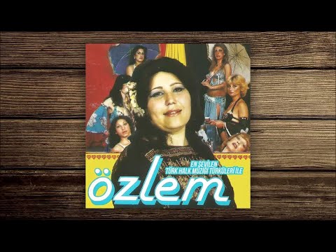 Özlem - İstedim Vermediler (Official Audio)