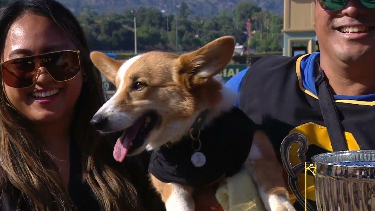 2024 Summer Corgi Nationals Final - YouTube