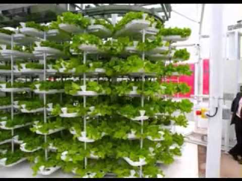 Simple vertical farming ideas - YouTube
