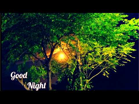 Good  night status |whatsapp status| moon status |status video |