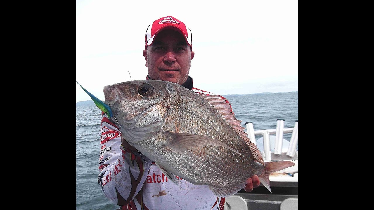 Reel Kiwi Fishing - Softbaiting in the North - YouTube