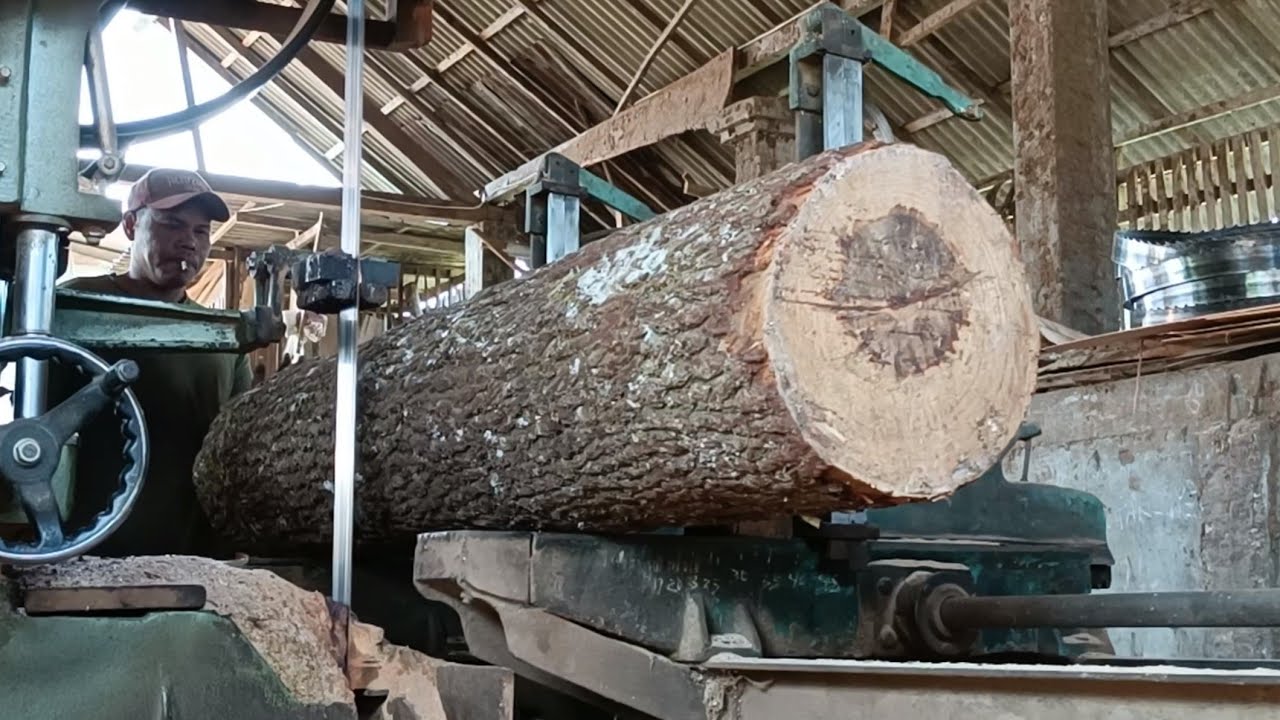 Interesting!! see the process of sawing pine wood using a band saw #68 ...