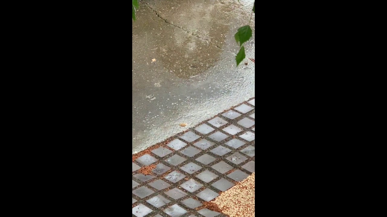 ProFlow Permeable Pavers Permeability - ROMEX and Black Locust Lumber ...