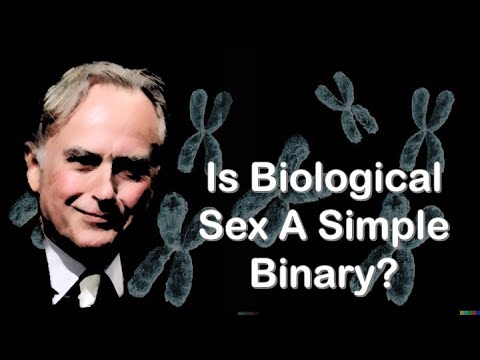Is Biological Sex A Simple Binary?