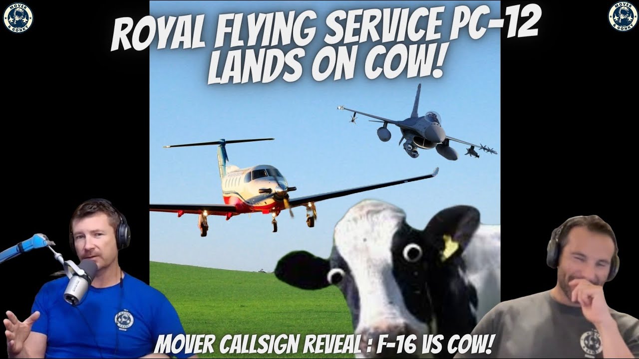 The Cow vs Doctors and Fighter Pilots - YouTube