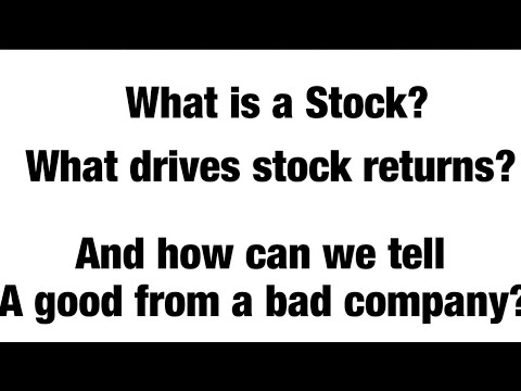 What is a Stock, What drives stock returns, and a good v.s a bad stock ...