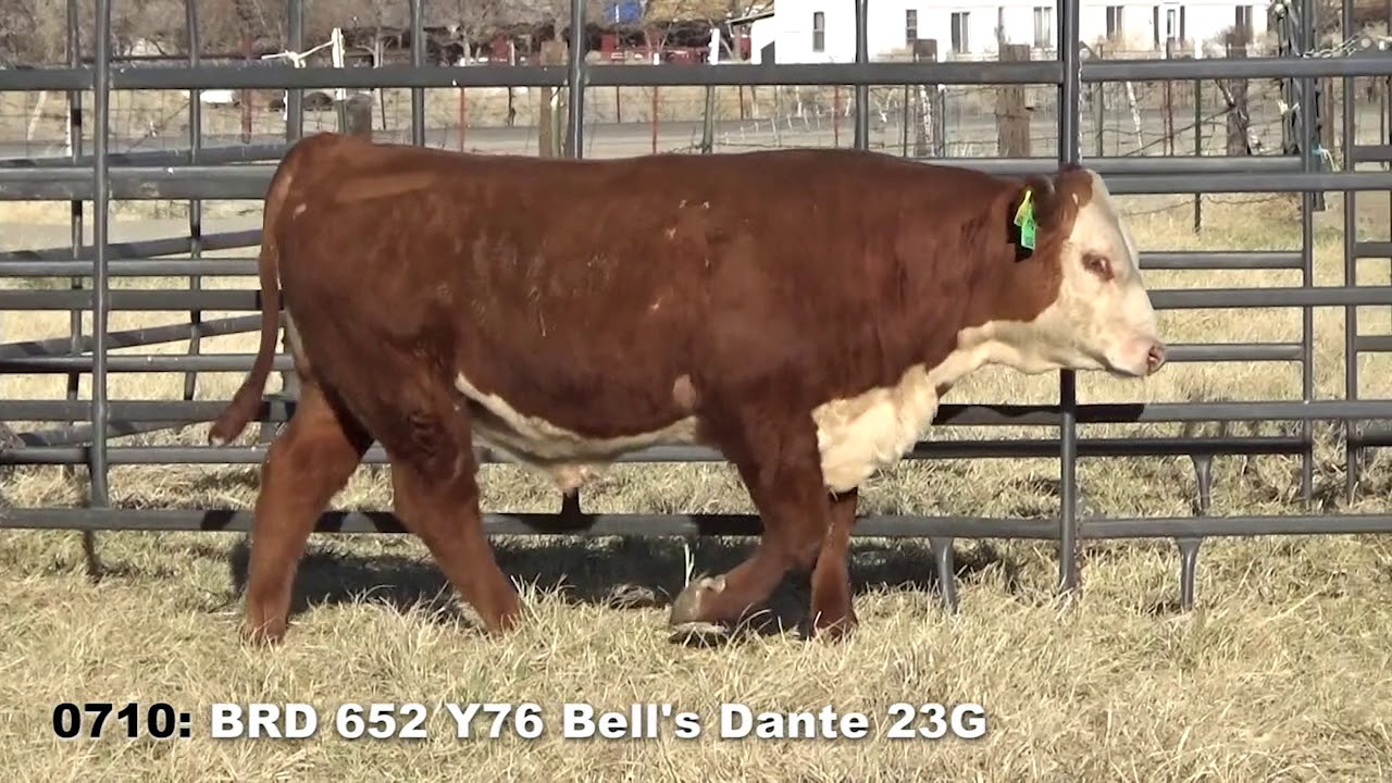 0710 Bell Ranch - YouTube
