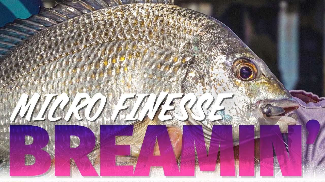 How to Catch Bream on Micro Finesse Soft Plastics - Fishing Canals and ...