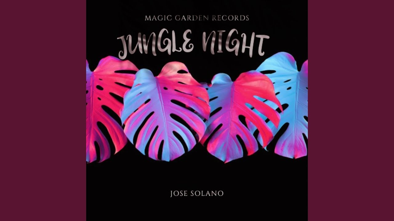 Jungle Night - YouTube