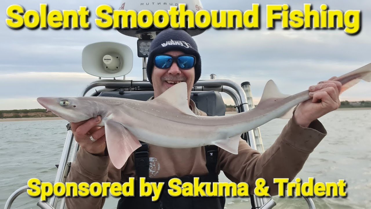 Solent Smoothound Fishing Boat Fishing Sea Fishing Zziplex Profile ...
