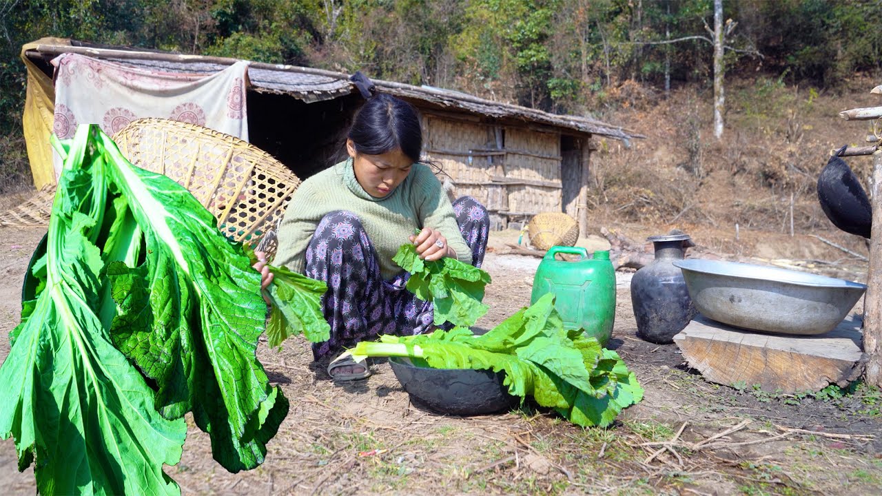 manjita cooking lunch for her family @manjitacooking - YouTube