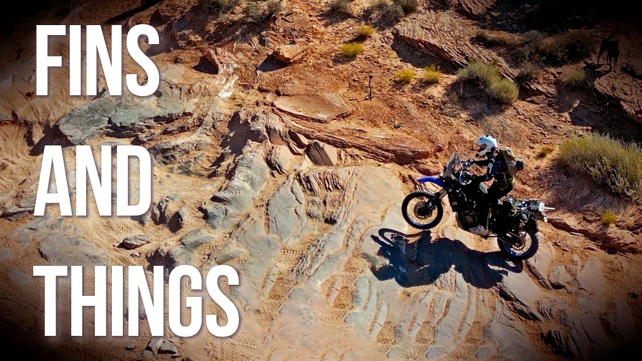 Fins & Things - YouTube