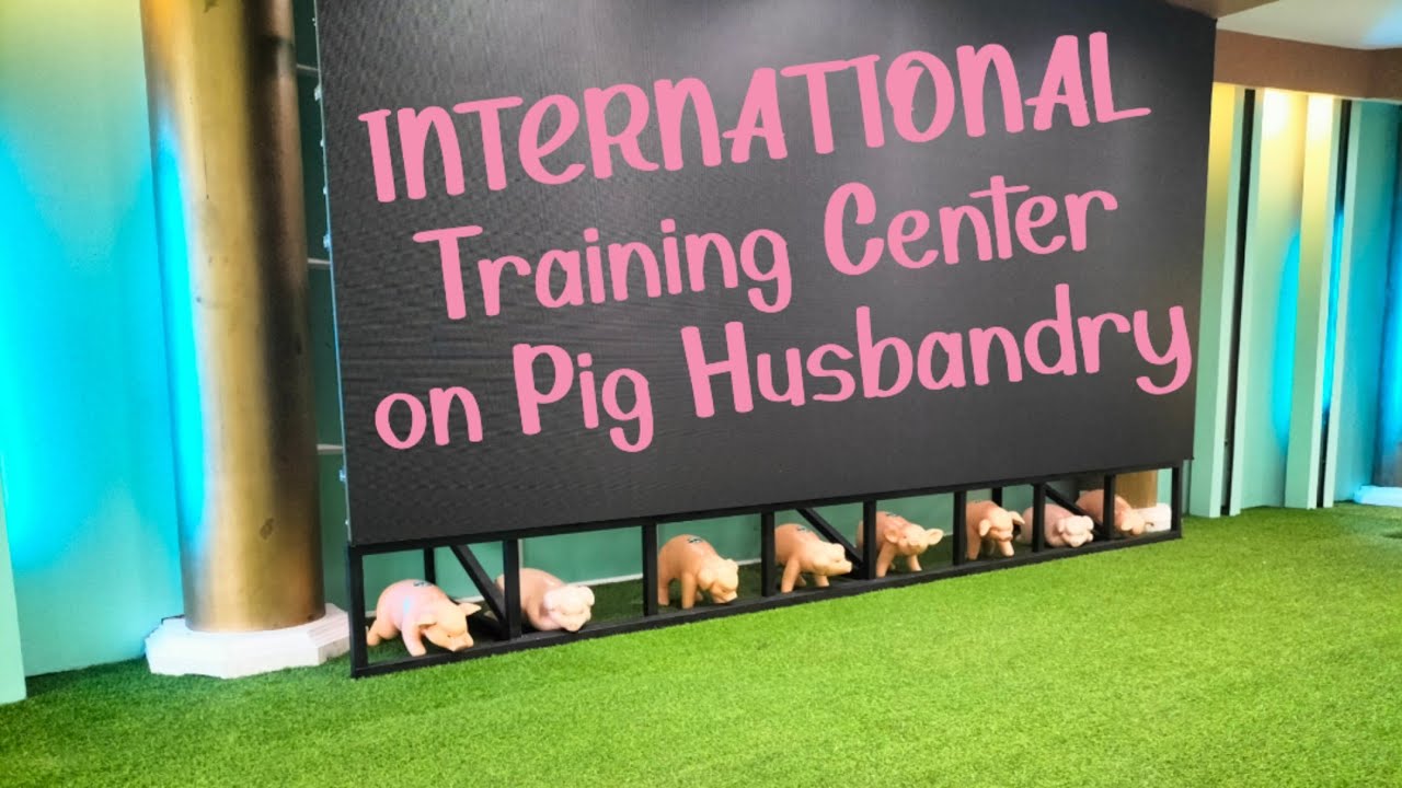 INTERNATIONAL TRAINING CENTER ON PIG HUSBANDRY // ARTIFICIAL ...