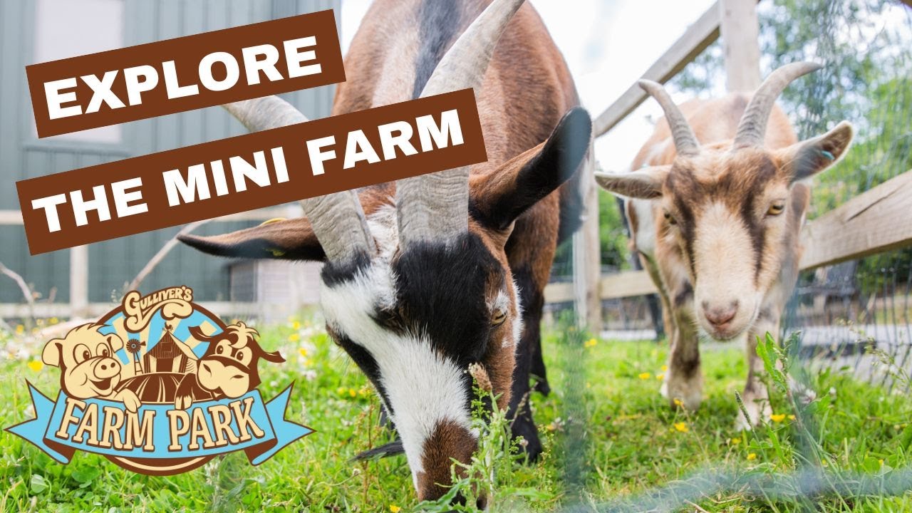 Gulliver's Valley Mini Farm - YouTube