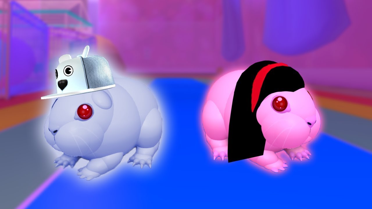 ROBLOX: VELHOTE E TIA GRAÇA VIRARAM PORQUINHOS DA ÍNDIA SUPER FOFOS ...