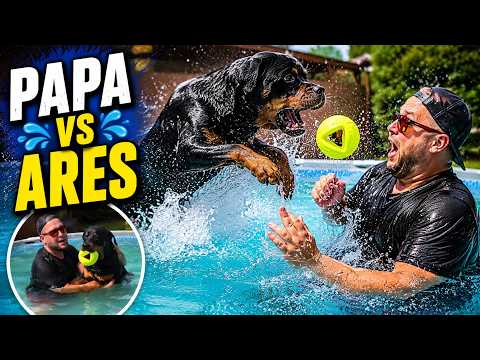 😂🌊 Ares ist komplett eskaliert! Der Pool war keine gute Idee...