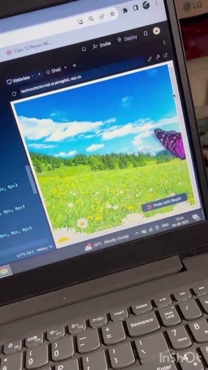 Easy Butterfly Animation | HTML CSS - YouTube