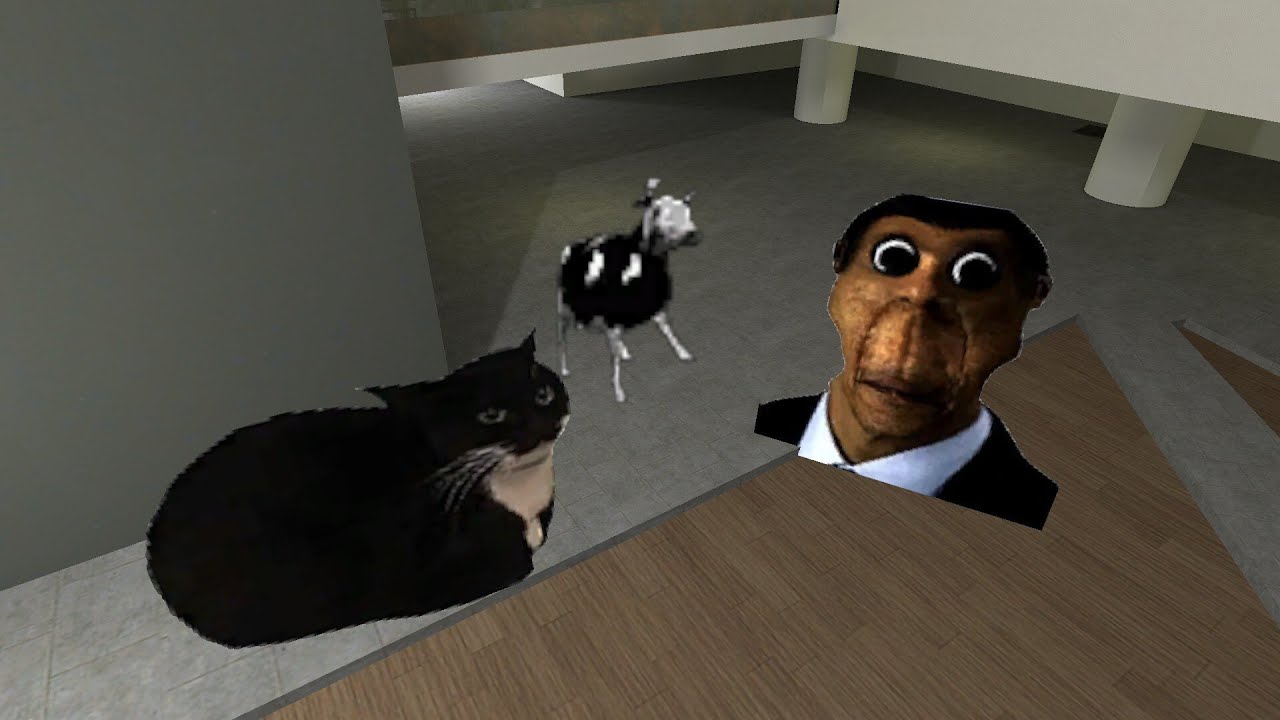 Maxwell Cat, Obunga and Polish Cow nextbot trying to cath me! (Gmod ...