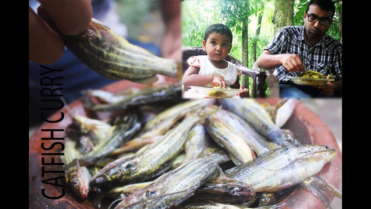 Village food tiny catfish curry recipe | Tangra mach curry recipe - YouTube