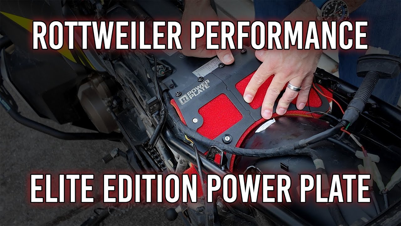 Rottweiler - Norden 901 - Elite Edition Power Plate - YouTube