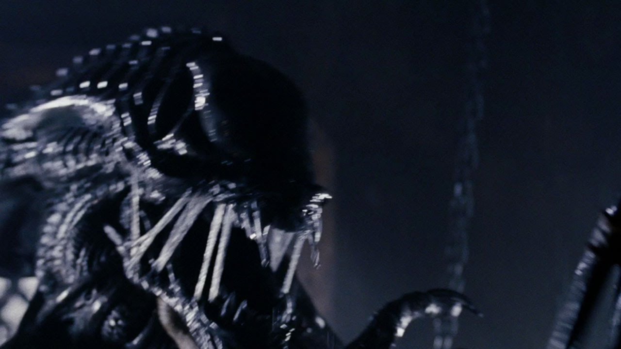 Alien Vs. Predator Halloween Horror Nights Announcement - YouTube