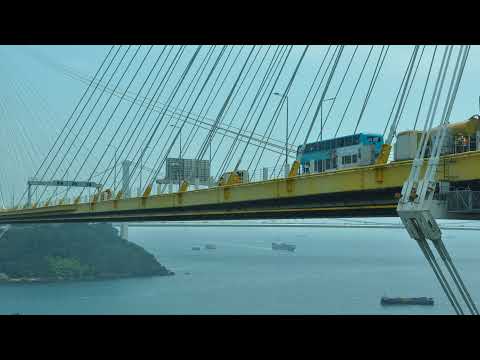 mango. Live Stream