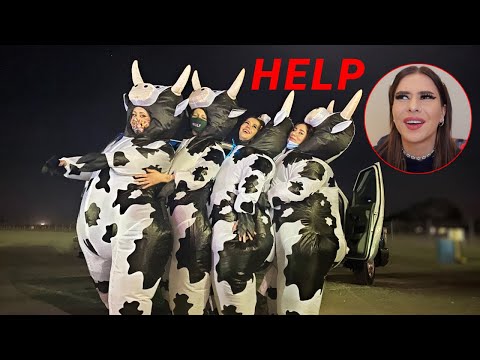 Stranded In The Desert As Cows (feat. Brittany Broski, Emmy Hartman, & Christel)