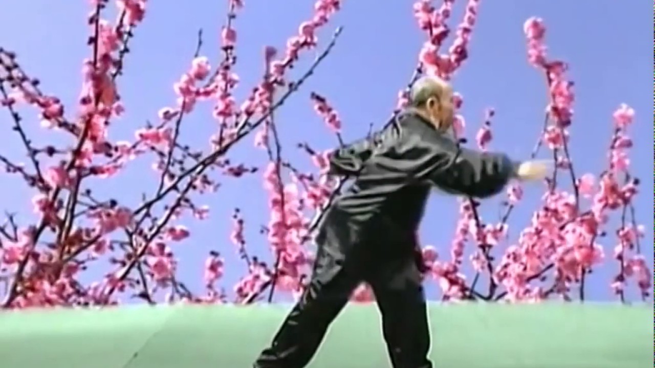 Baduanjin Eight Section Brocade Qigong Tutorial - YouTube