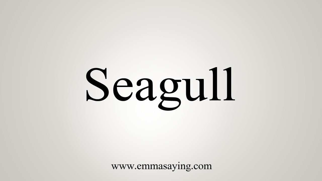 How To Say Seagull - YouTube