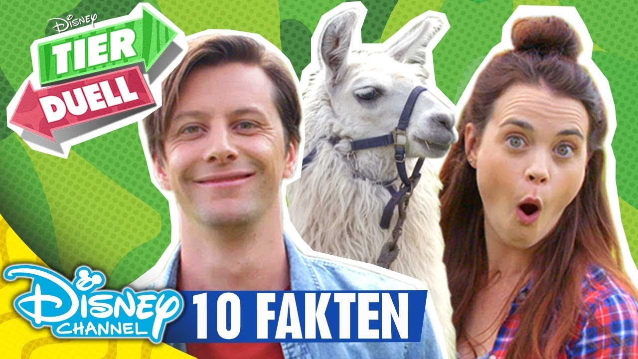 TIERDUELL - 10 Fakten | Die neue Show im Disney Channel - YouTube