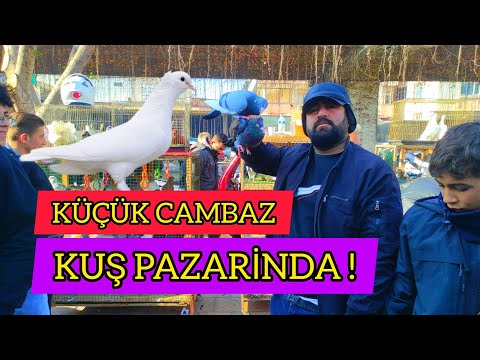 KÜÇÜK CAMBAZ GÜVERCİN PAZARINDA KUŞ UÇURUYOR..