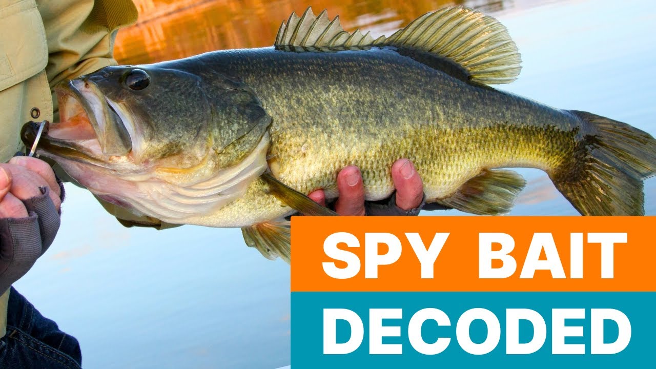 Undercover Bass Tactics with Spy Baits w/ @TylerReelFishing - YouTube