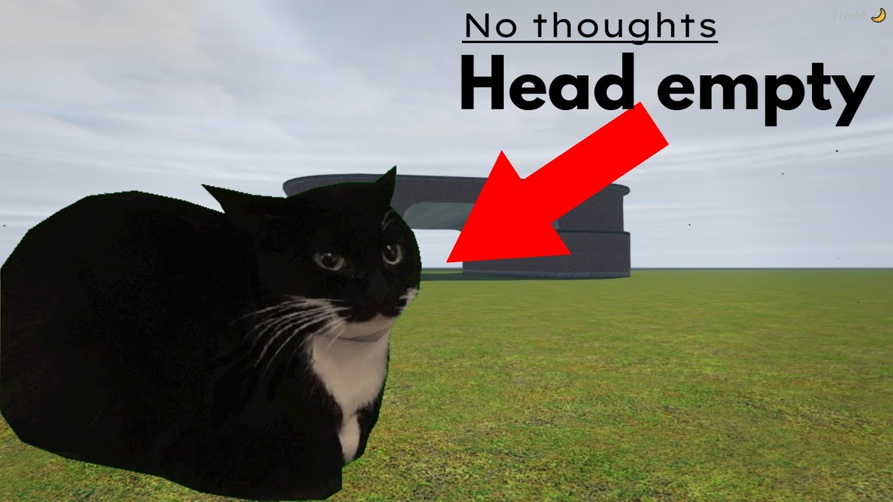 Plethora of Discord Cat Memes v2 - YouTube