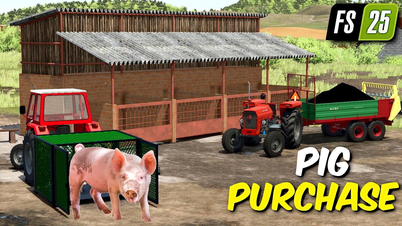First Pigs Have Arrived on the Farm! | Episode 35 - Small Zielonka ...