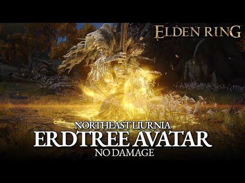 Erdtree Avatar Boss Fight (No Damage) - Northeast Liurnia [Elden Ring ...