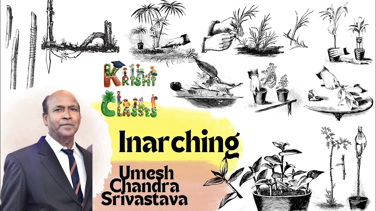 What is Inarching? Types of Inarching(Simple, Tongue, Bottle, Inlay ...