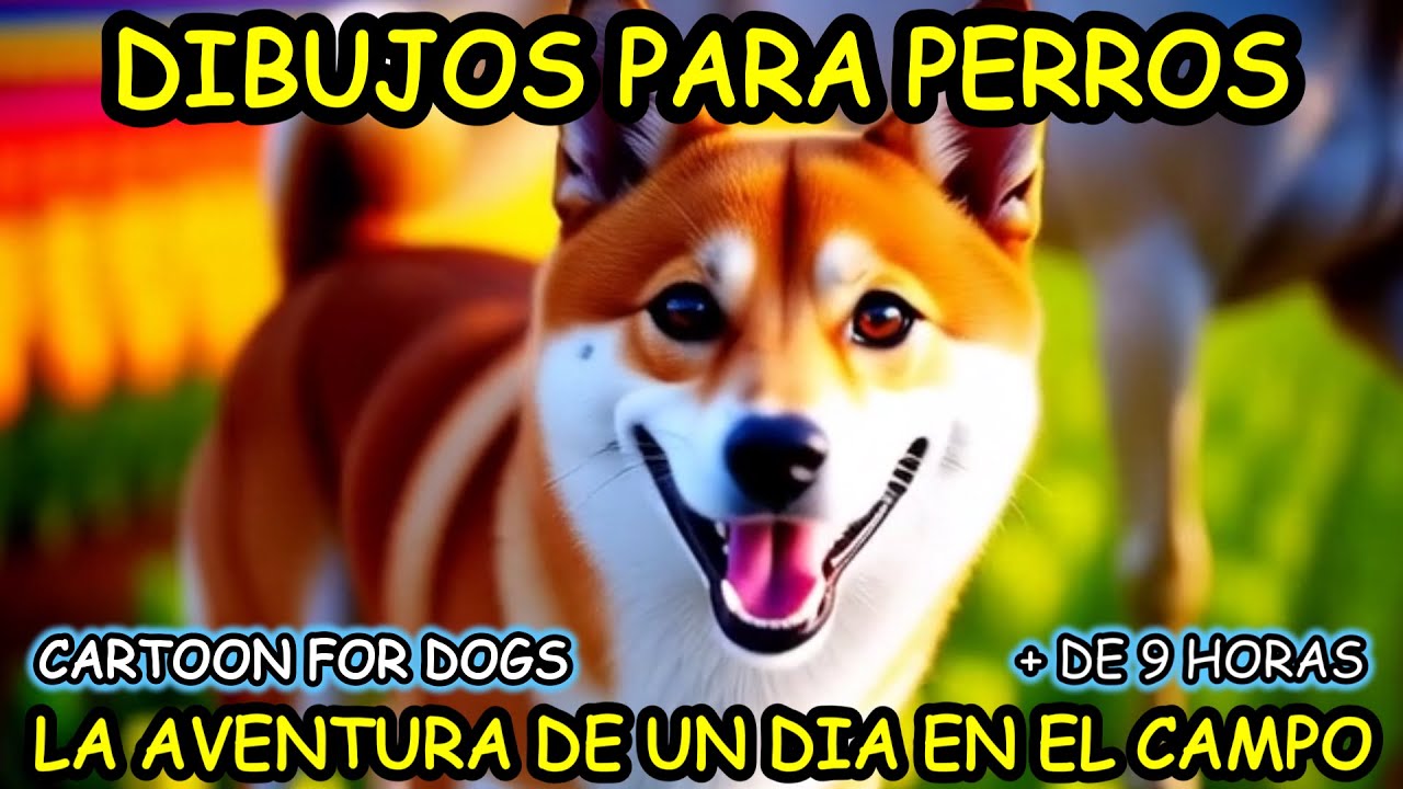 VIDEOS PARA PERROS ( LA AVENTURA DE UN DIA EN EL CAMPO ) - YouTube