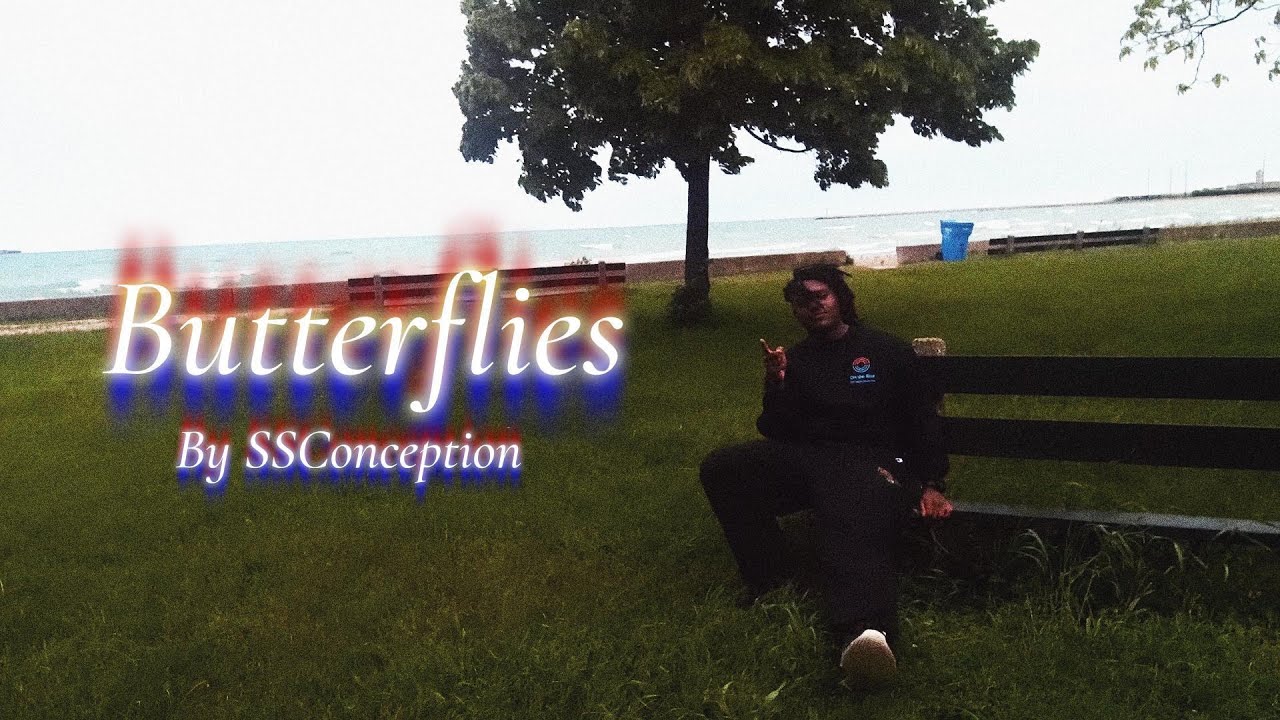 Butterflies (Soul Speak) by SSConception - YouTube