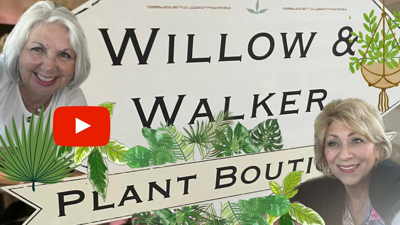Willow & Walker Plant Boutique- Urbana OH #shopping #houseplants # ...